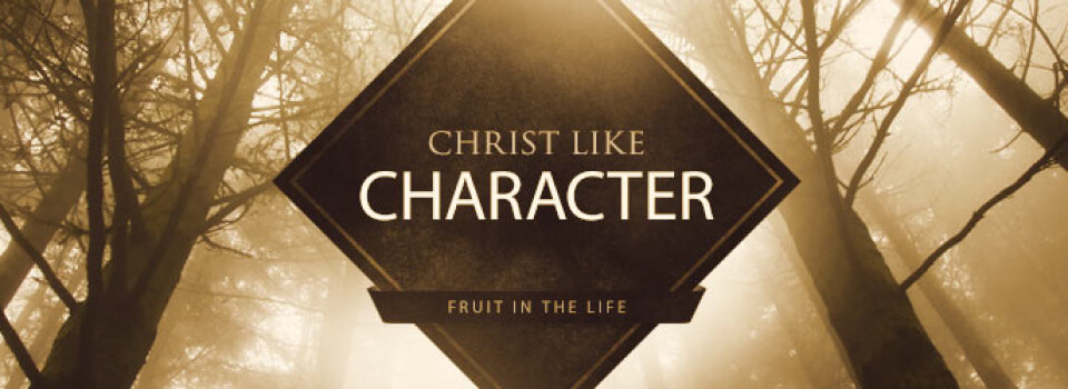 GODLY CHARACTER IS IMPORTANT IN LIVING CHRIST-LIKE LIFE – Weefree ...